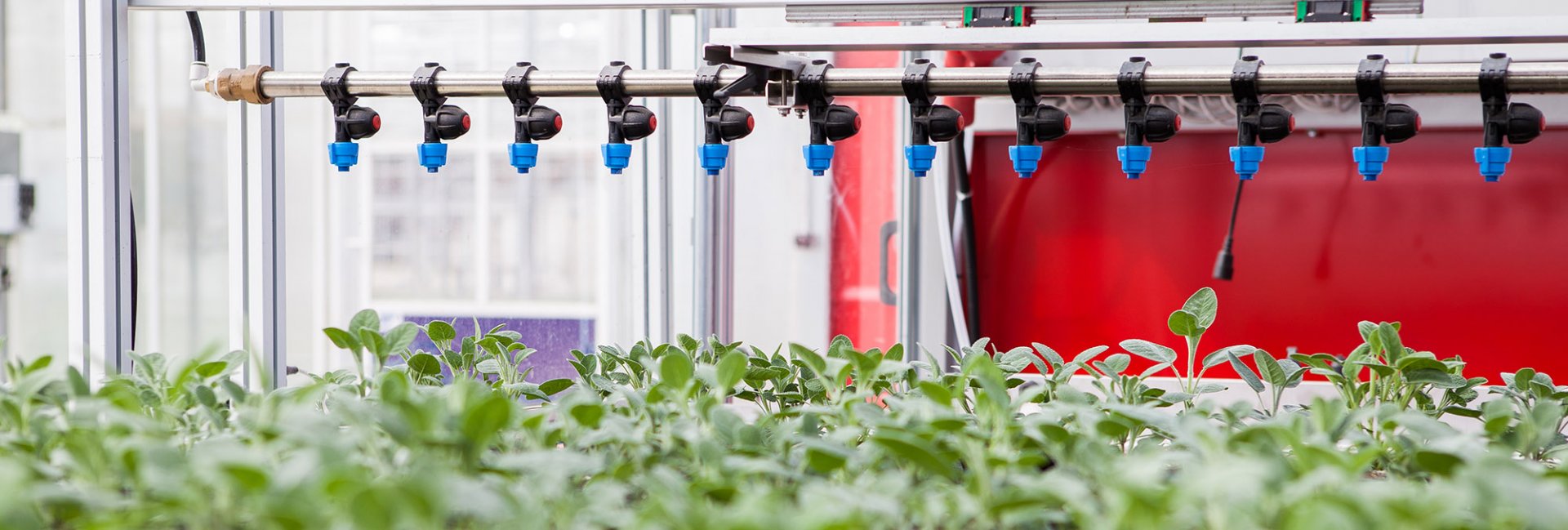 Methods of cultivation